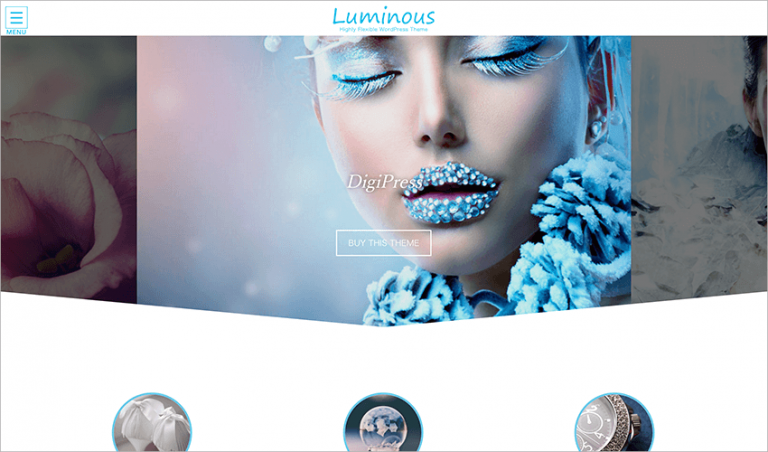 DigiPressの「Luminous」は上品な華やかと機能が満載のテーマ！